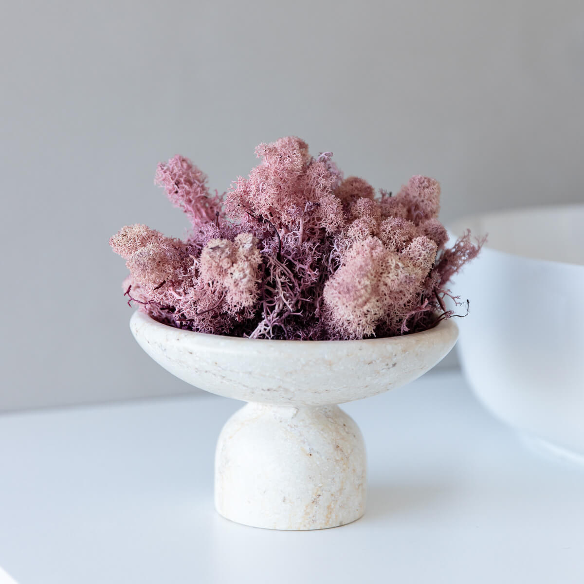 Reindeer Moss I Island Moos I Deko Moos | natur und pink